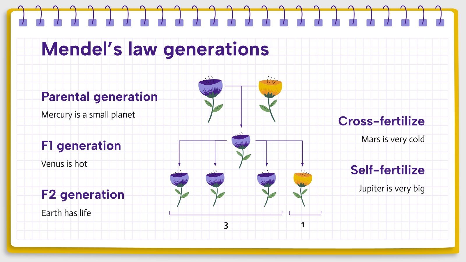 Mendel's Laws: Uniformity Presentation