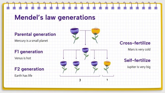 Mendel's Laws: Uniformity Presentation