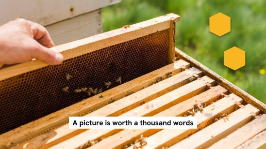 Bee Pattern for Marketing Presentation