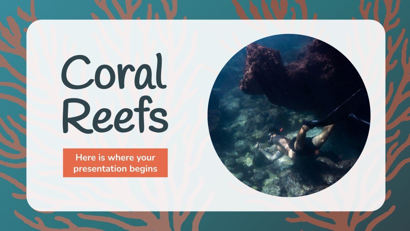 Coral Reefs Presentation