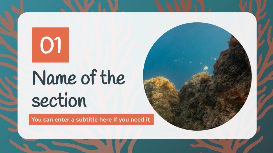 Coral Reefs Presentation