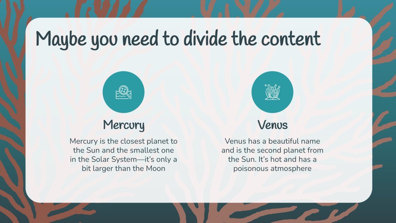 Coral Reefs Presentation