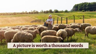 Country Life Minitheme Presentation