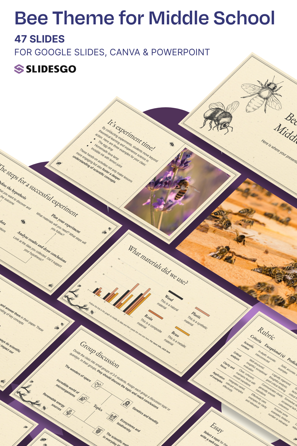 Bee Theme for Middle School Presentation