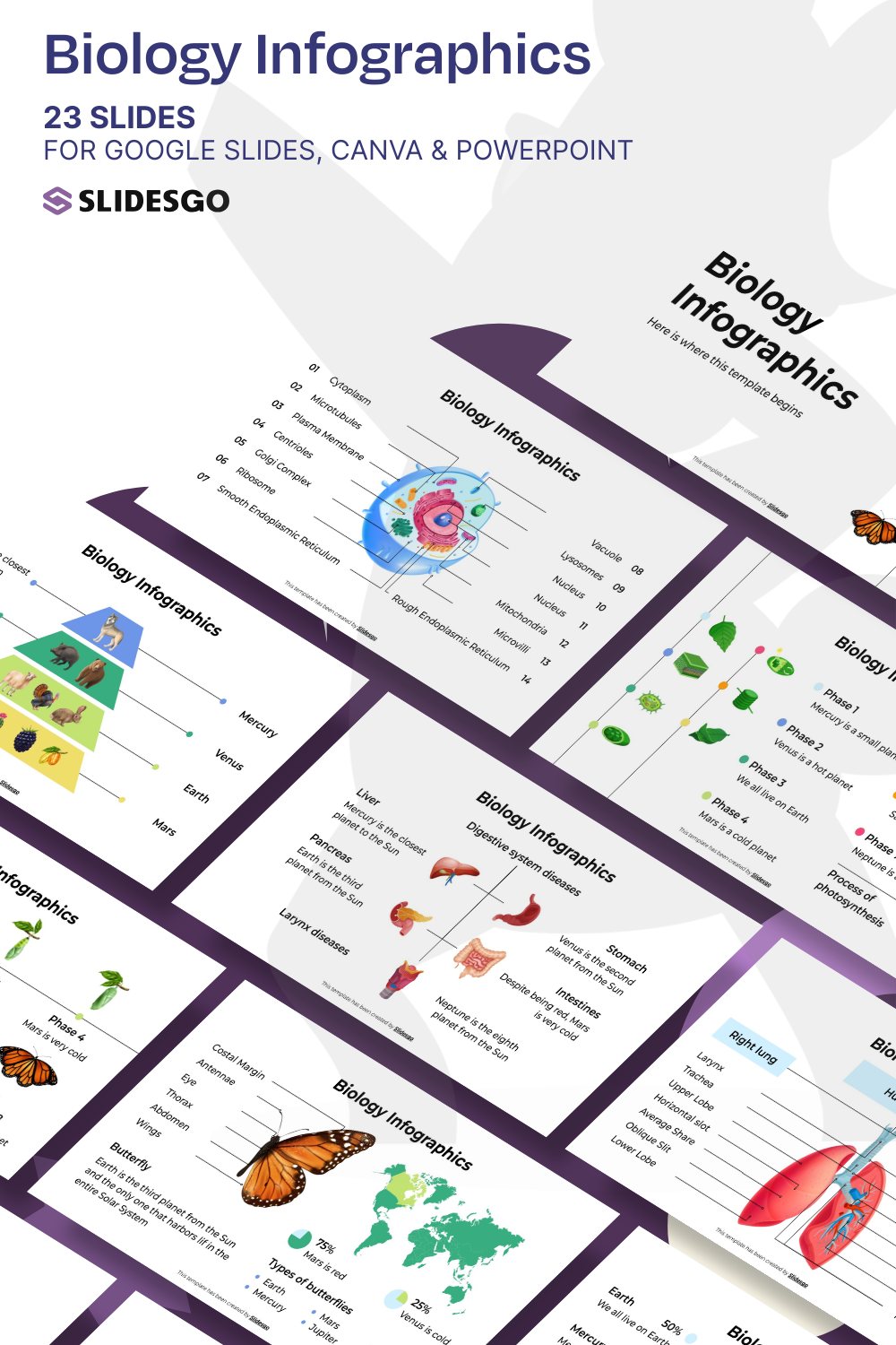 Biology Infographics Template
