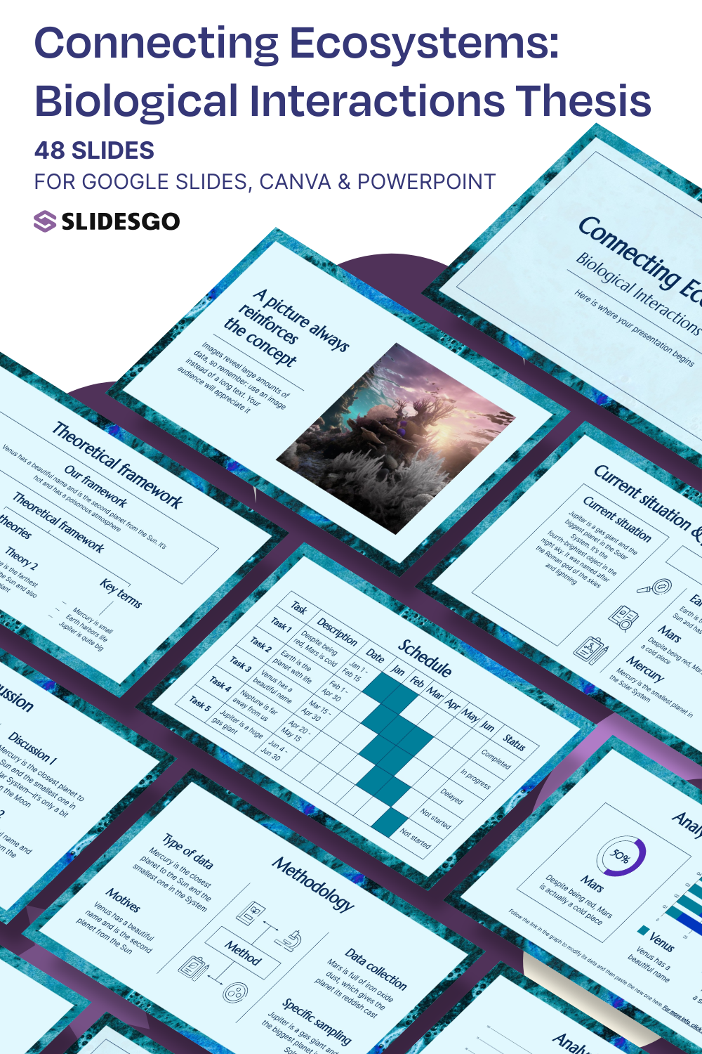 Connecting Ecosystems Biological Interactions Thesis