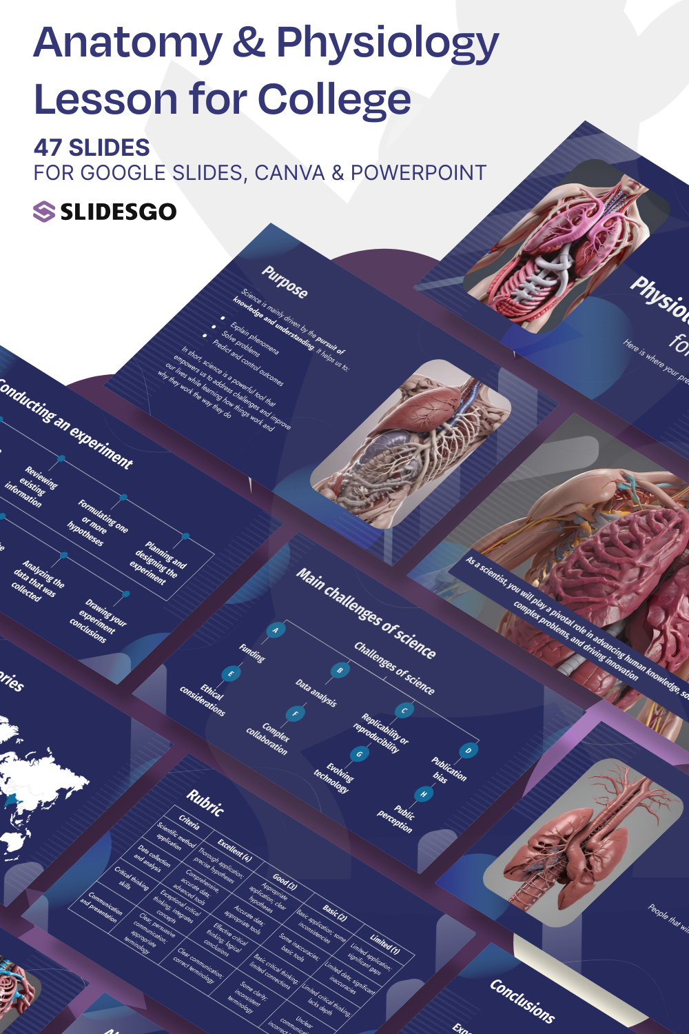 Anatomy & Physiology Lesson for College Presentation