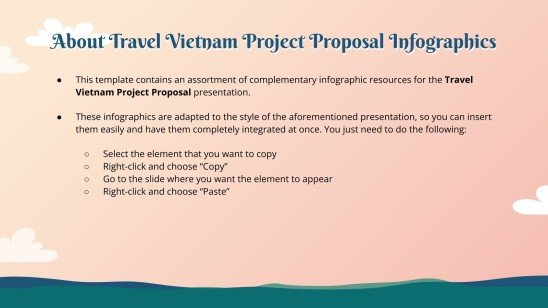 Travel Vietnam Project Proposal Infographics
