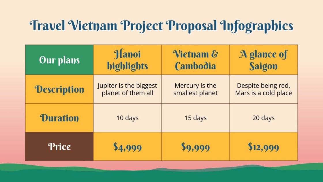 Travel Vietnam Project Proposal Infographics