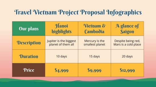 Travel Vietnam Project Proposal Infographics