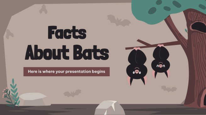 Facts About Bats Presentation