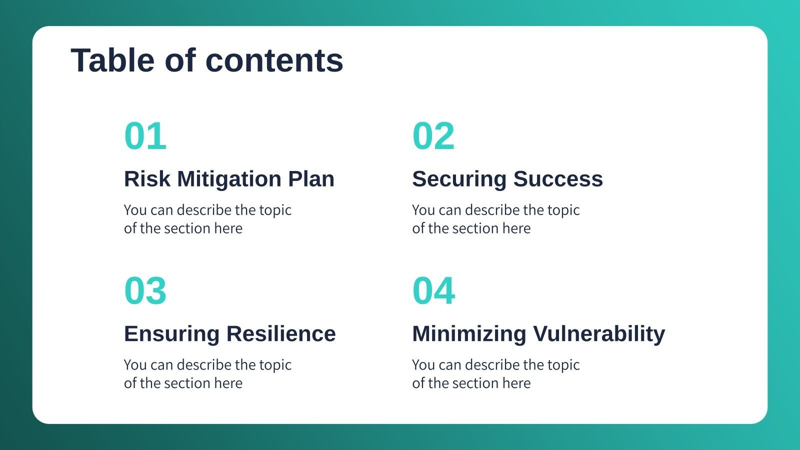 Risk Mitigation Plan Presentation