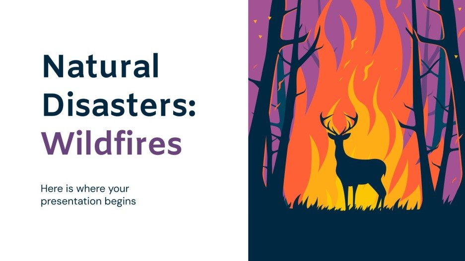 Natural Disasters: Wildfires Presentation