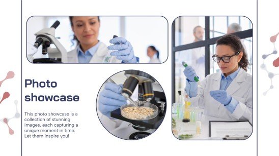 American Scientist Portfolio Presentation