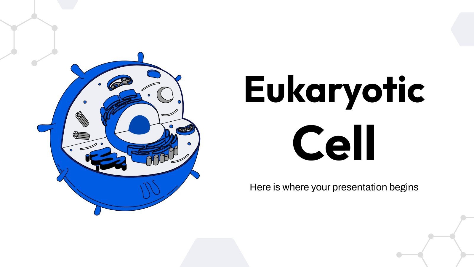 Eukaryotic Cell Presentation