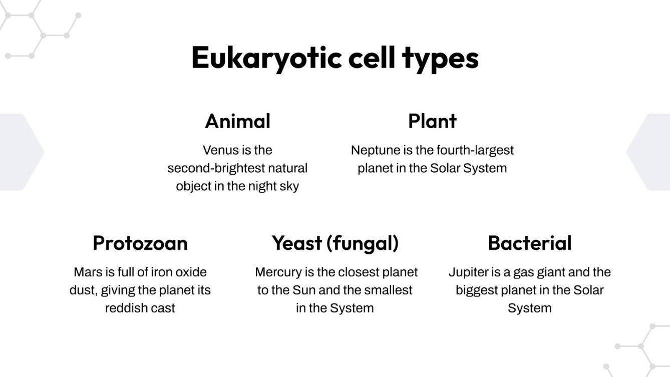 Eukaryotic Cell Presentation