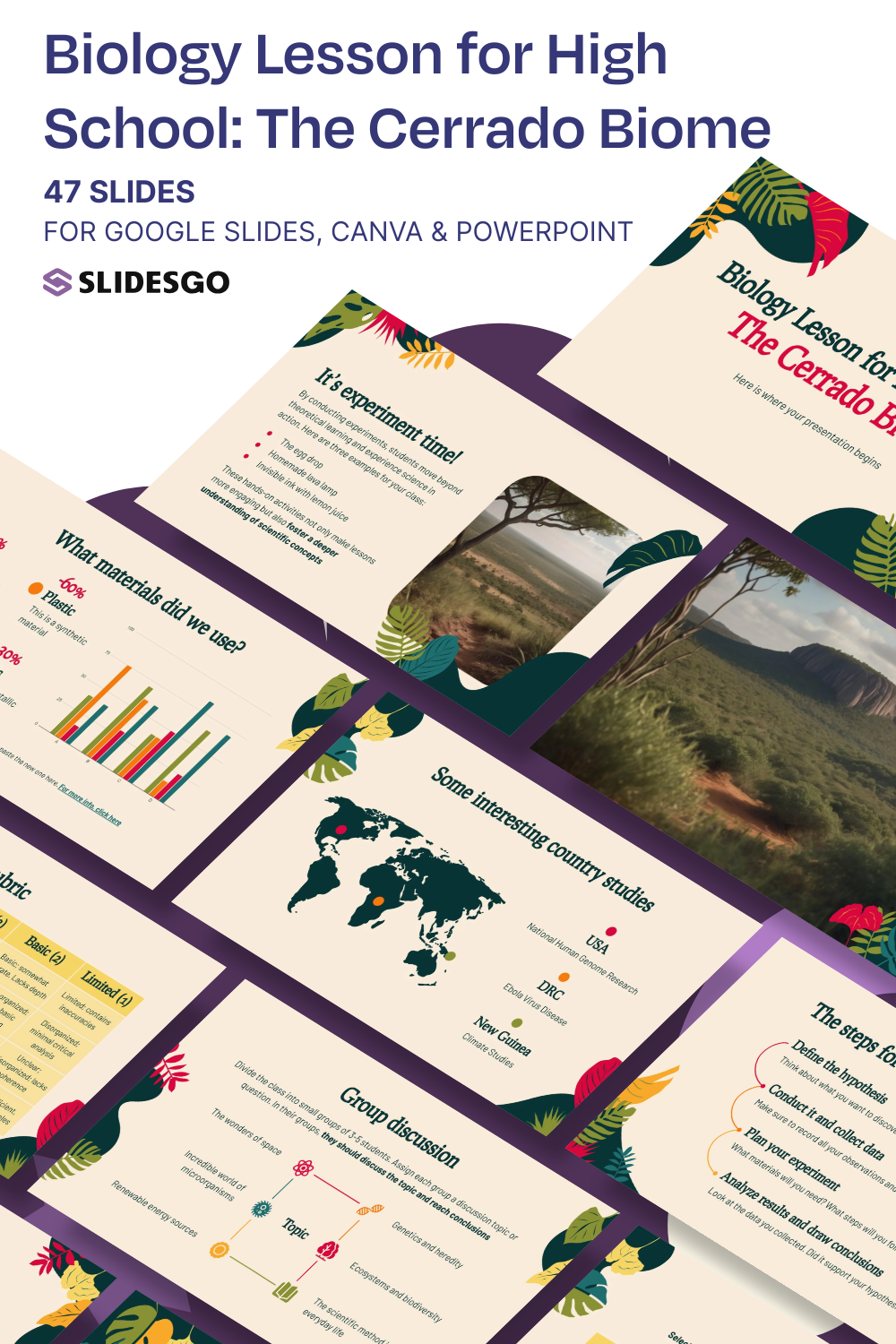 Biology Lesson for High School: The Cerrado Biome