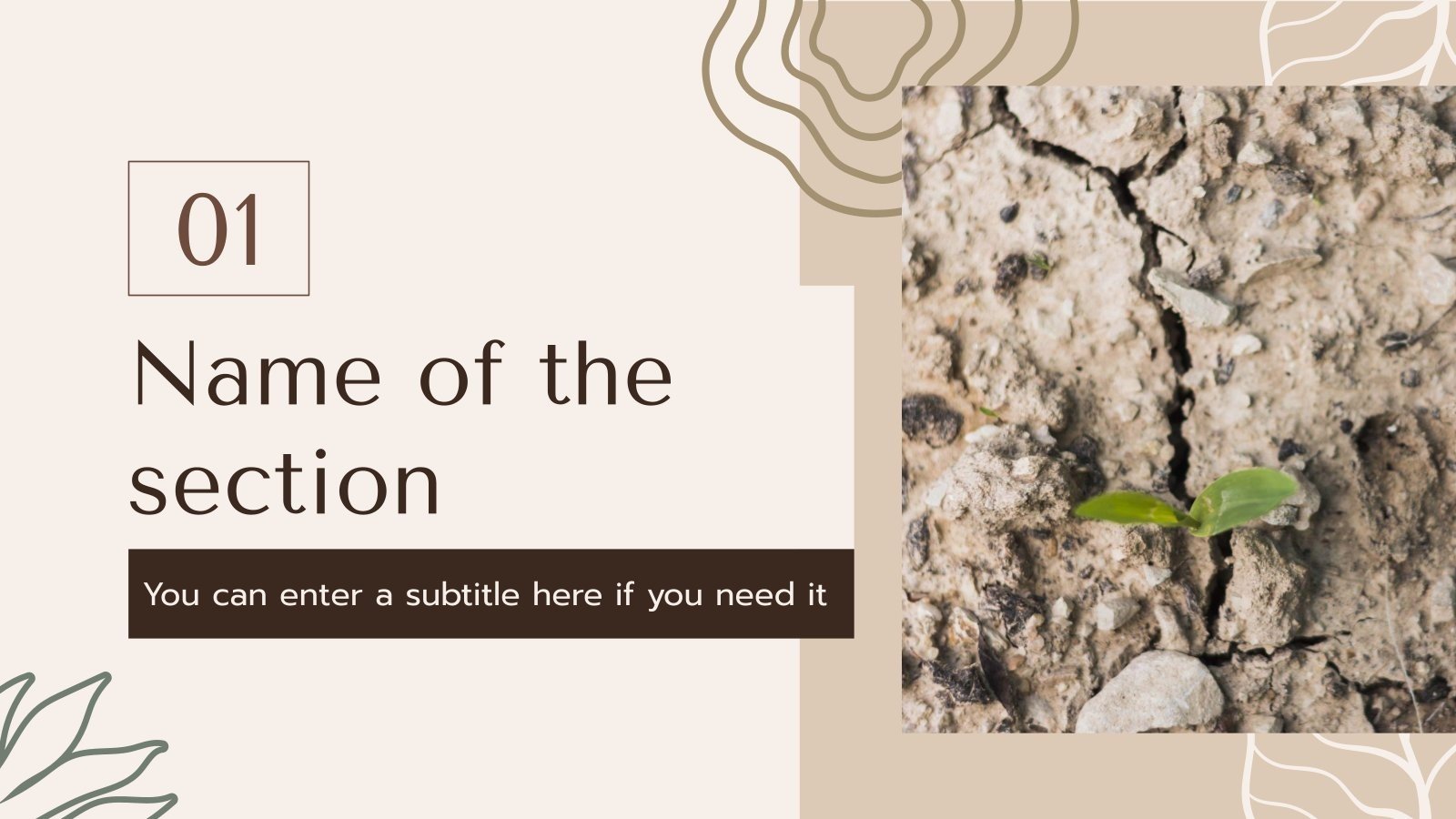 Deforestation and Desertification Presentation