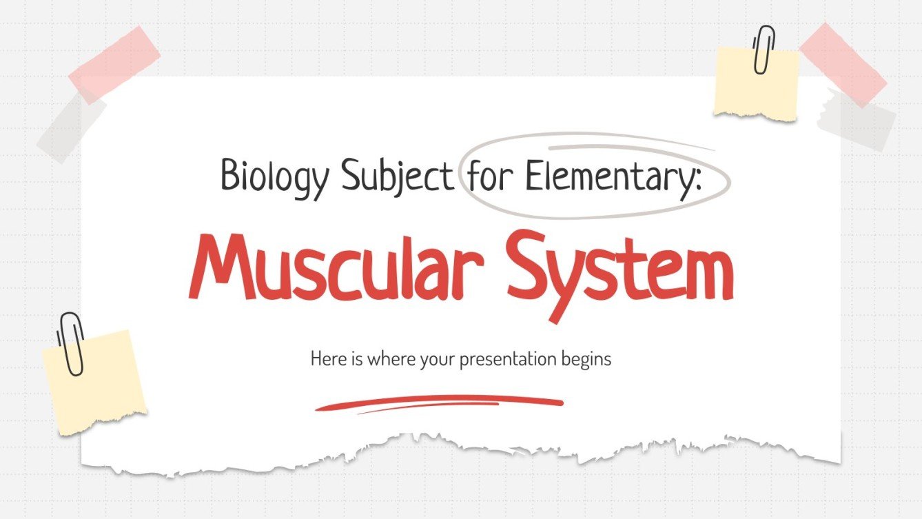 Biology Subject for Elementary: Muscular System Presentation
