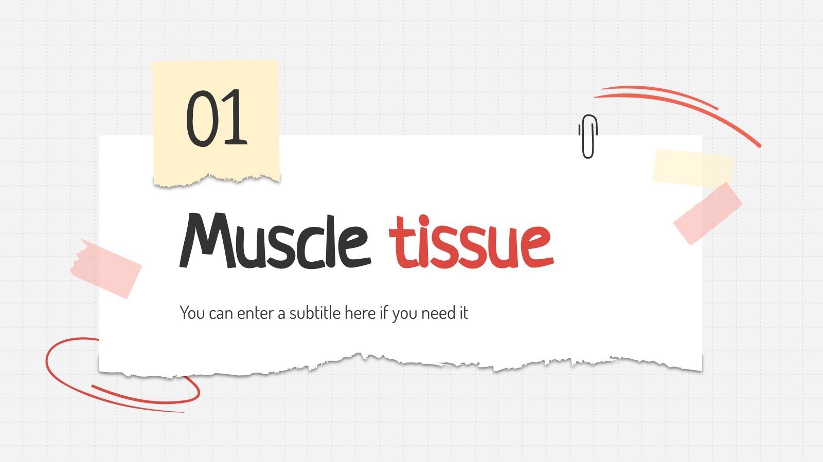 Biology Subject for Elementary: Muscular System Presentation