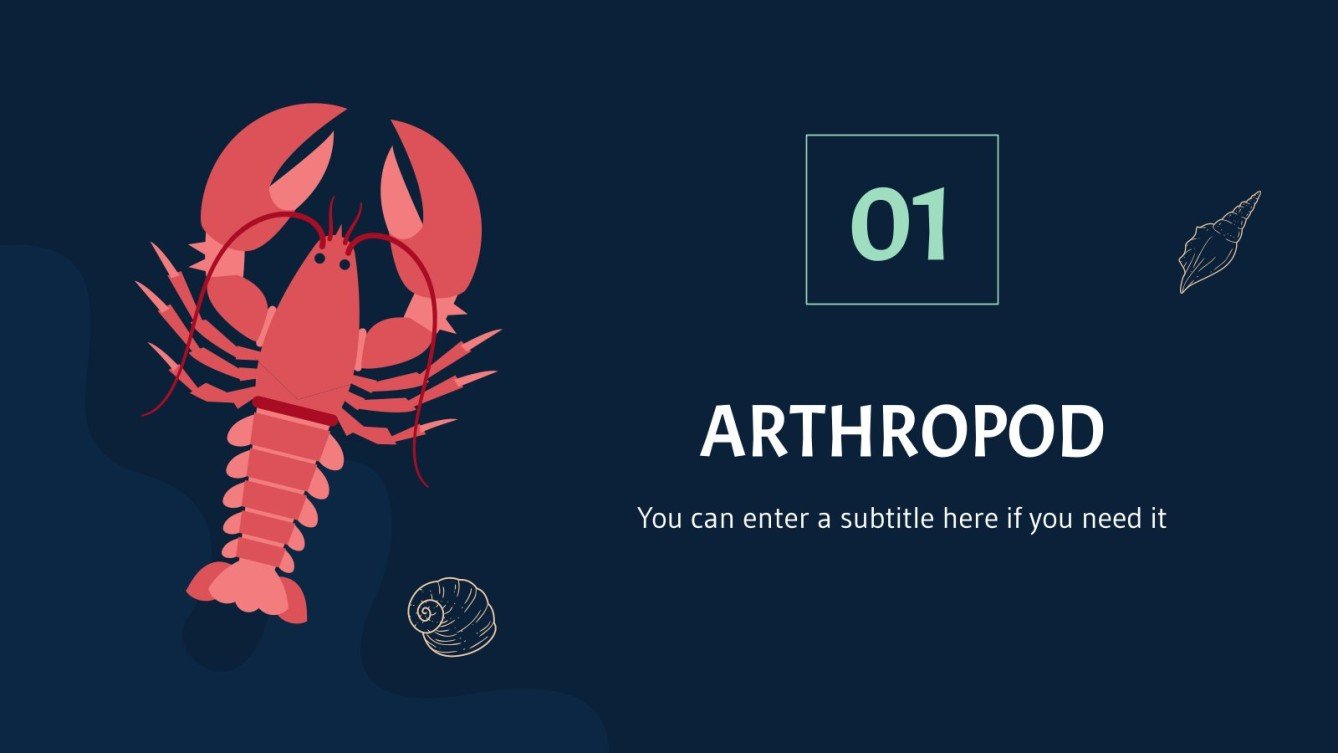 Crustaceans Presentation