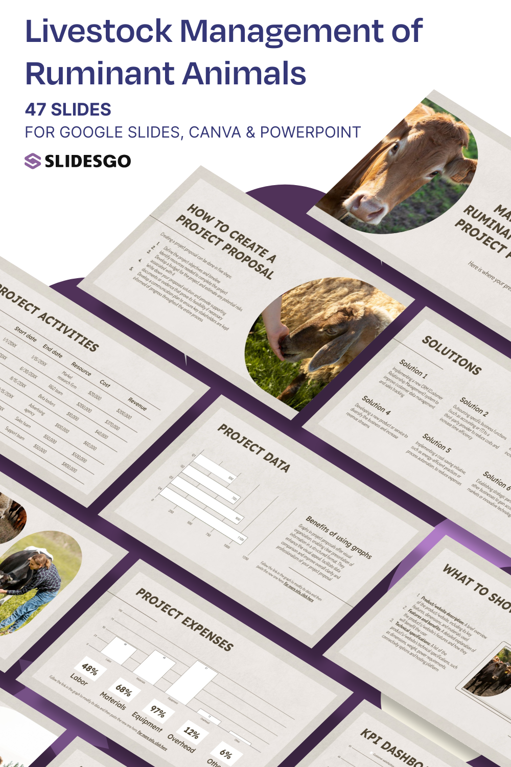 Livestock Management of Ruminant Animals Project Proposal