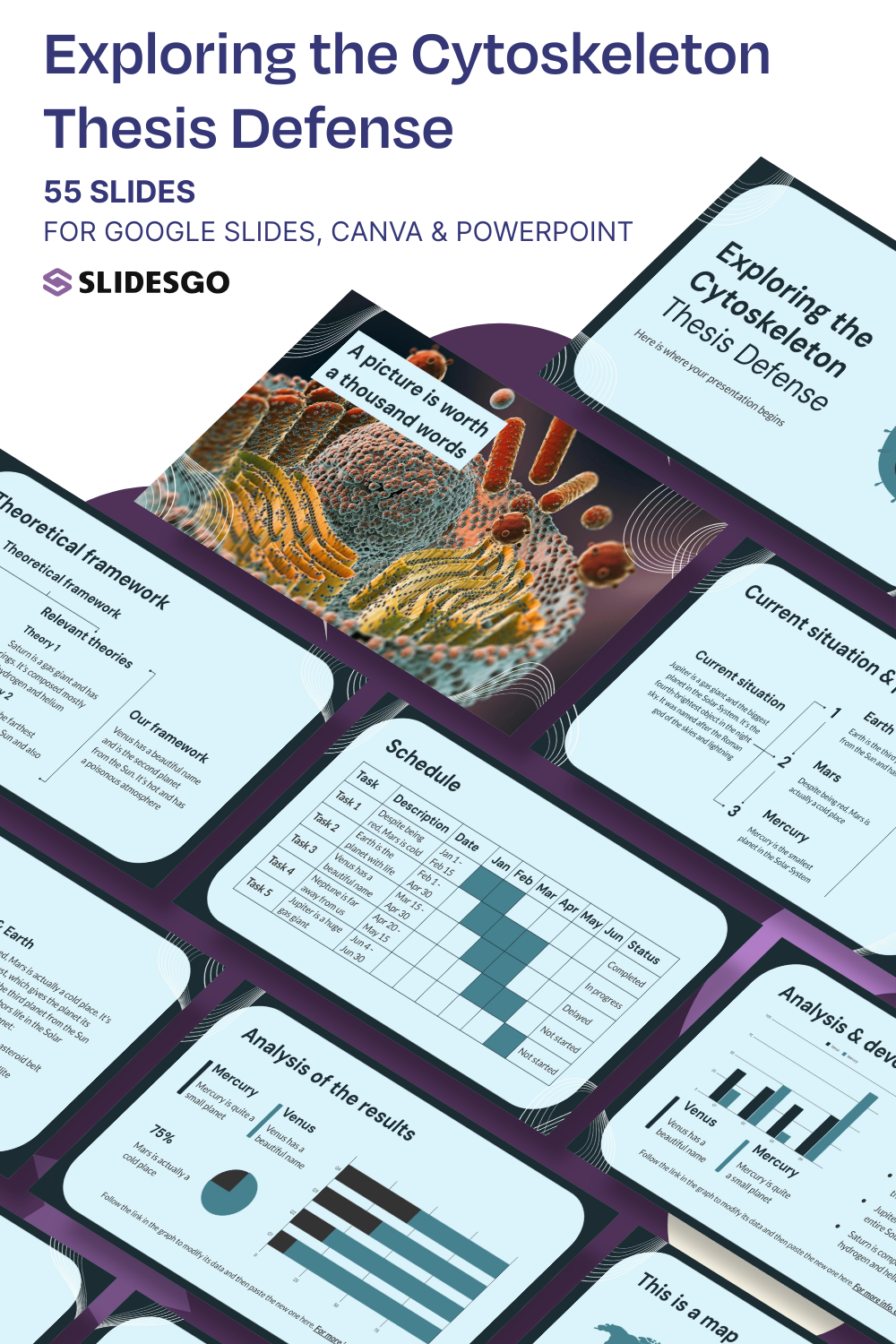 Exploring the Cytoskeleton Thesis Defense Presentation
