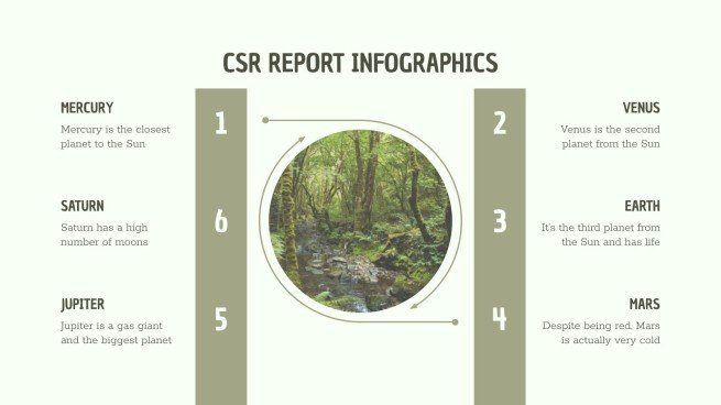 CSR Report Infographics Presentation