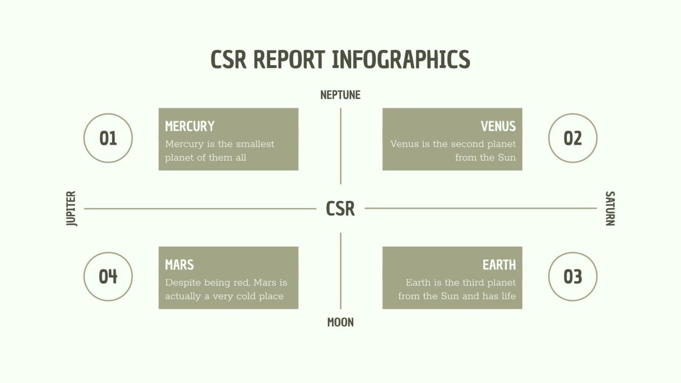 CSR Report Infographics Presentation