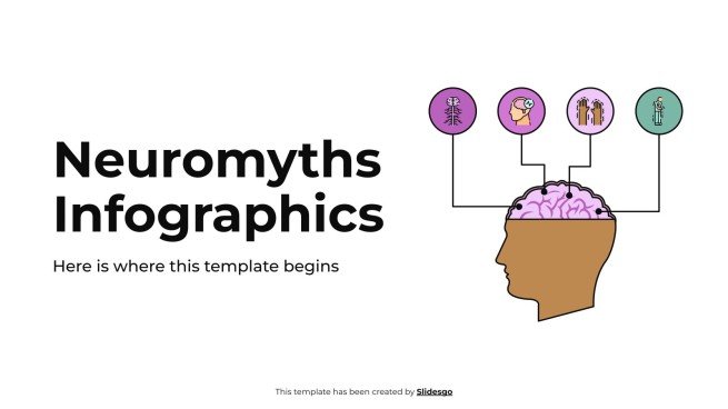 Modèle Infographies des neuromythes