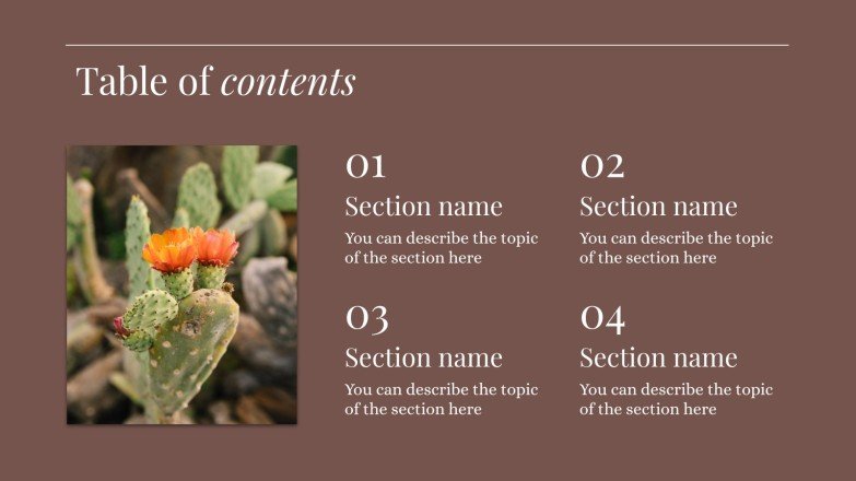 Minimalist Cactus Theme Presentation