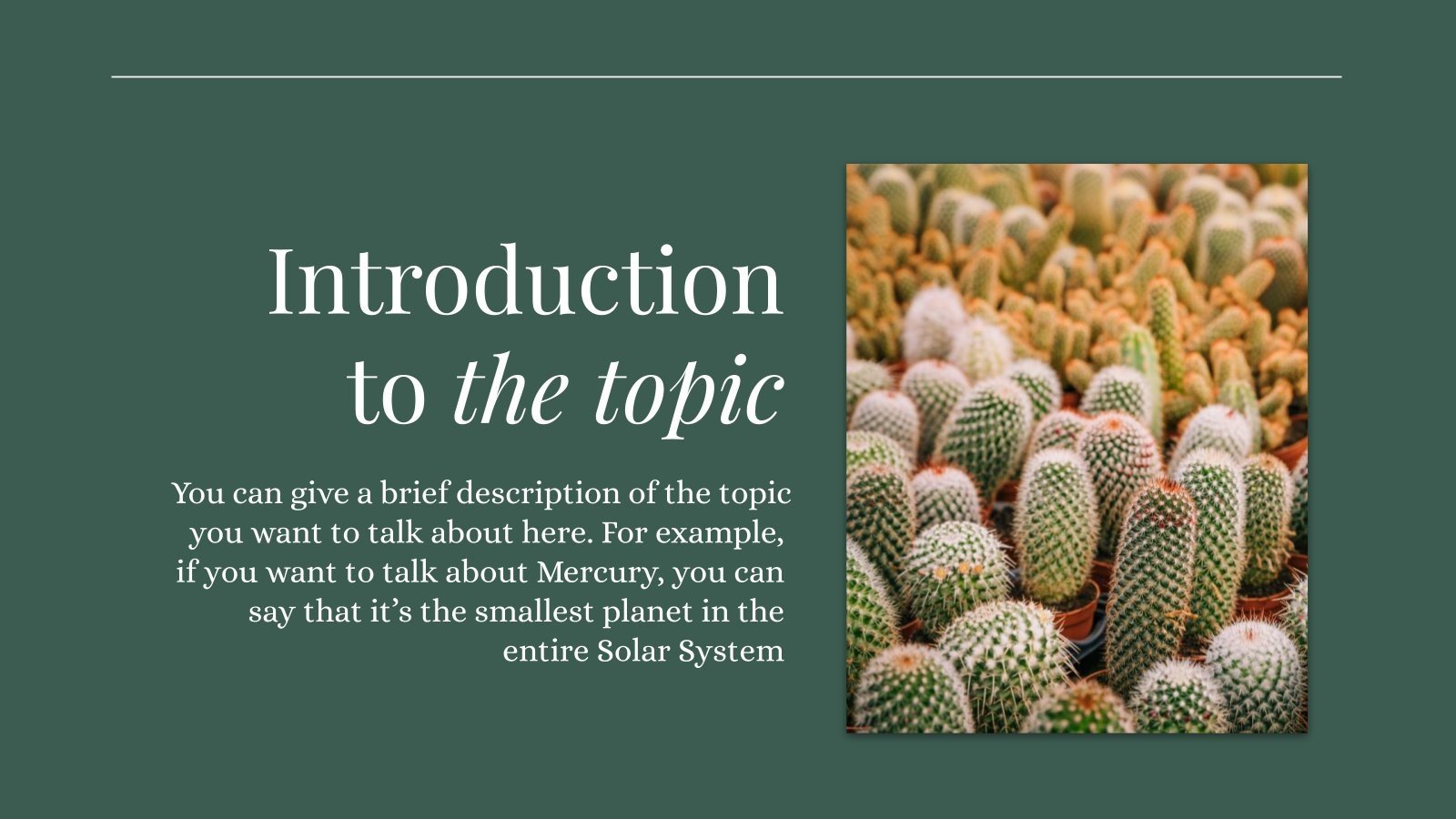 Minimalist Cactus Theme Presentation