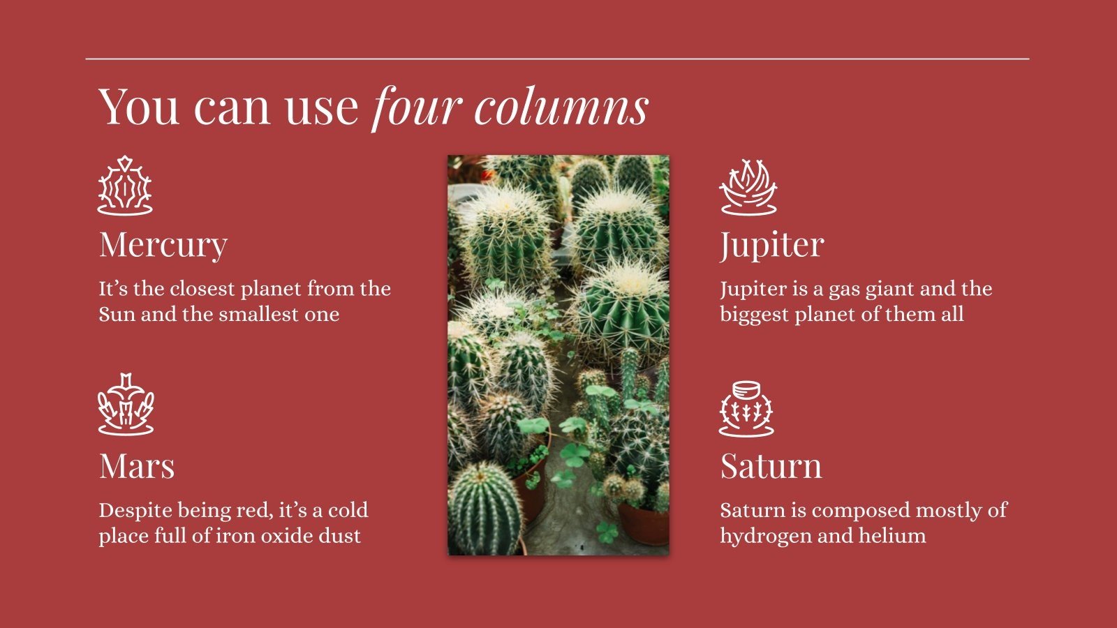 Minimalist Cactus Theme Presentation