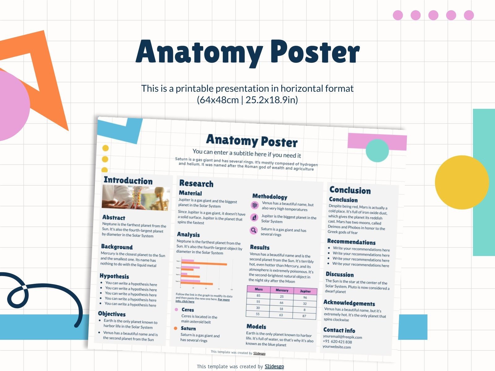 Anatomy Poster for Elementary Presentation