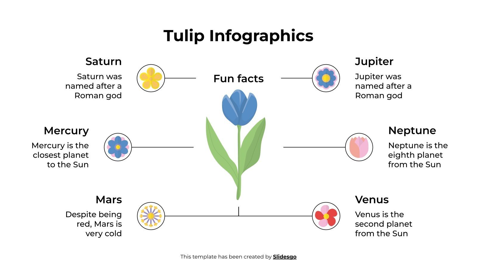 Presentación Infografía de tulipanes