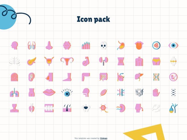 Anatomy Poster for Elementary Presentation