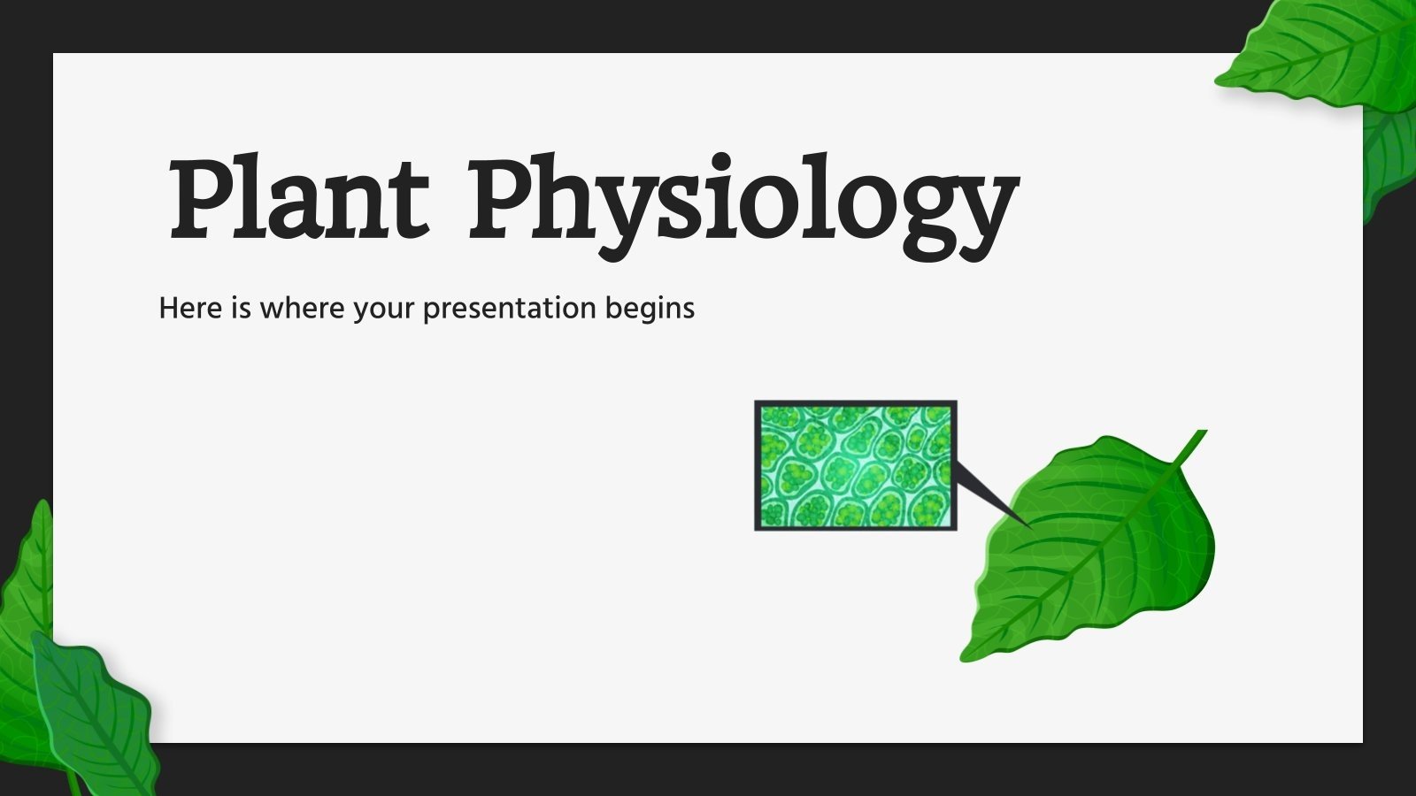 Free templates about plants for Google Slides and PowerPoint