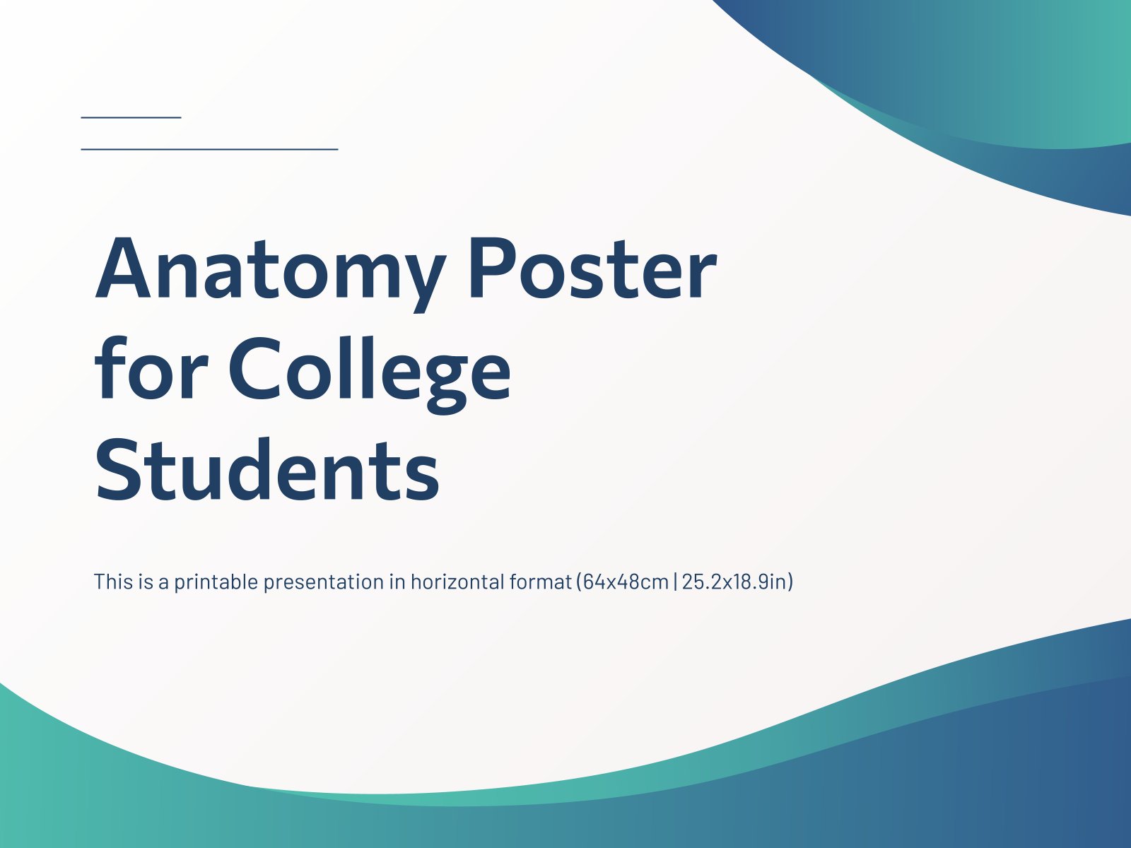 Pôster de anatomia para estudantes universitários