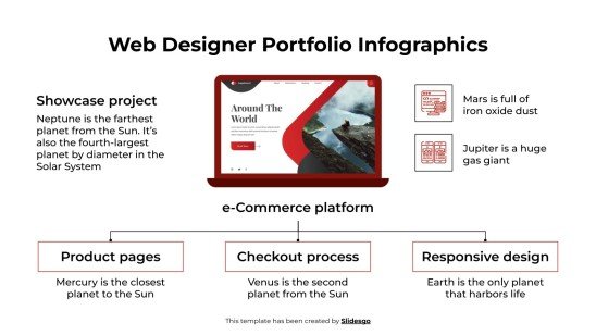 Web Designer Portfolio Infographics Presentation