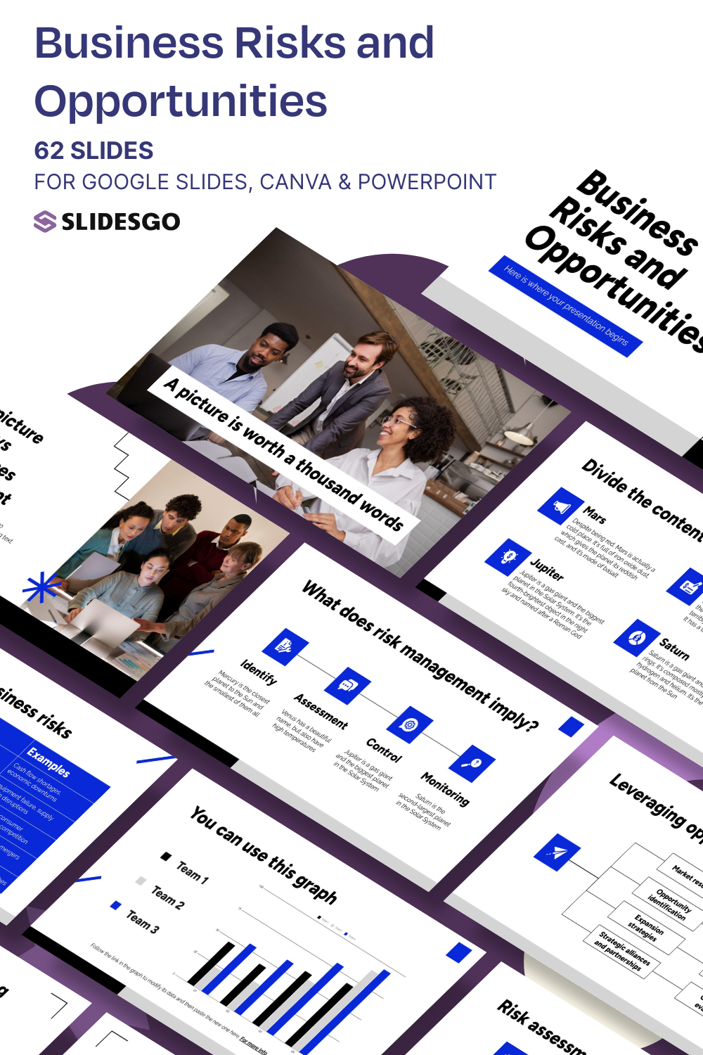 Business Risks and Opportunities Presentation