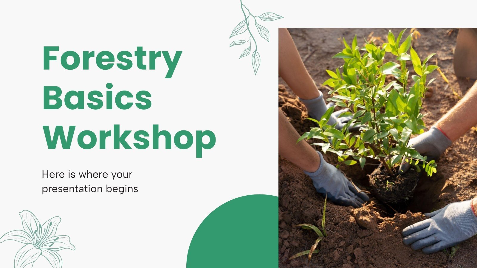 Forestry Basics Workshop Presentation