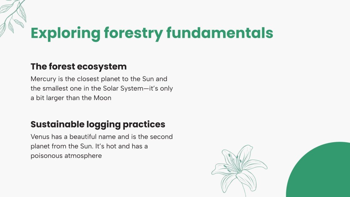 Forestry Basics Workshop Presentation
