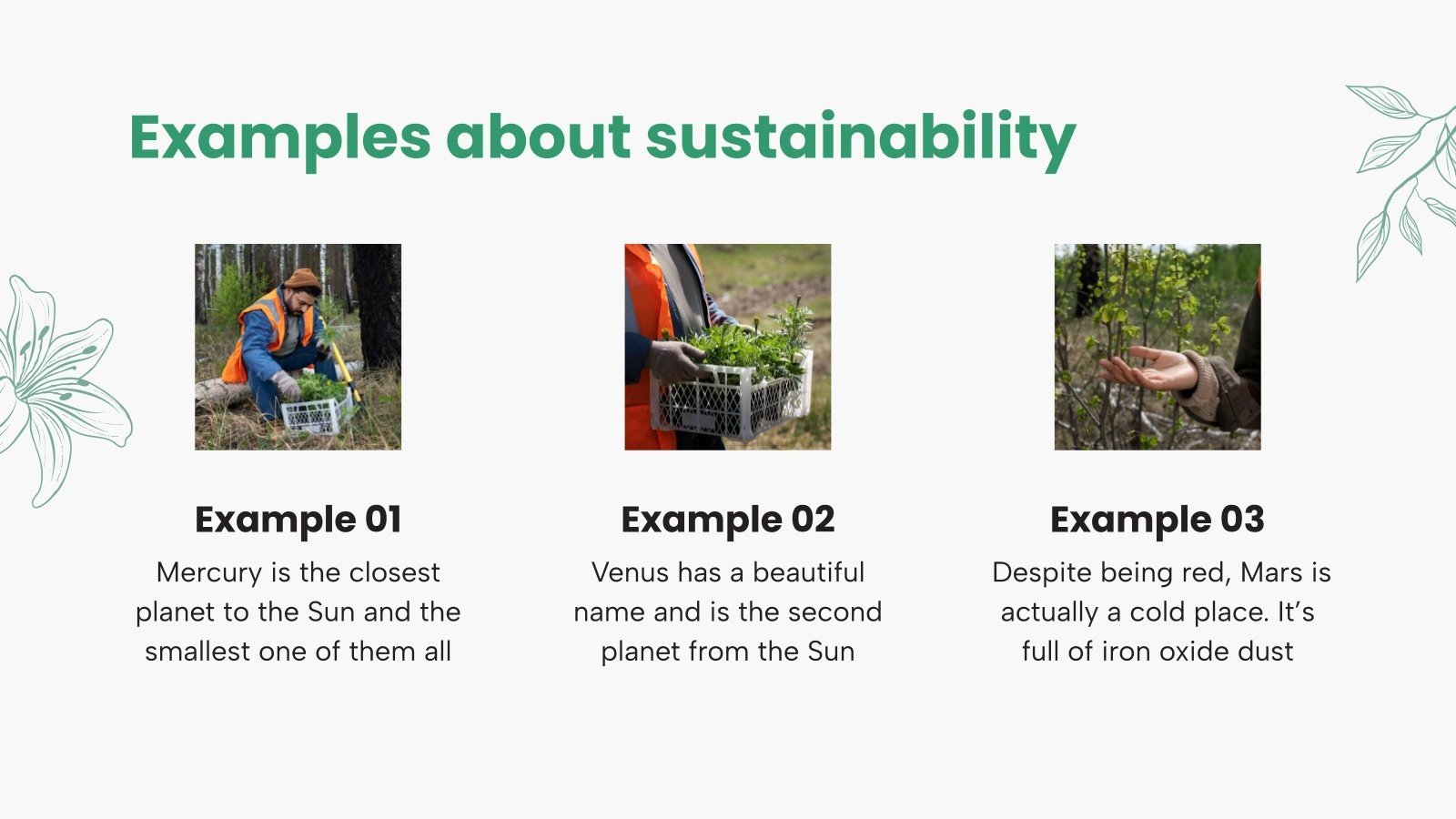 Forestry Basics Workshop Presentation