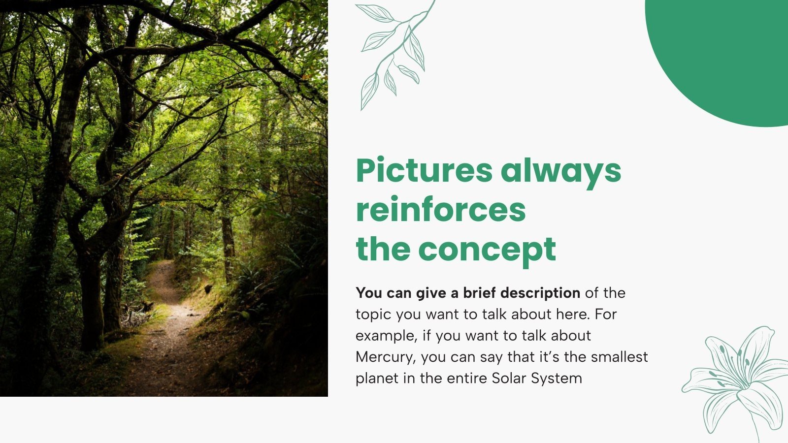 Forestry Basics Workshop Presentation