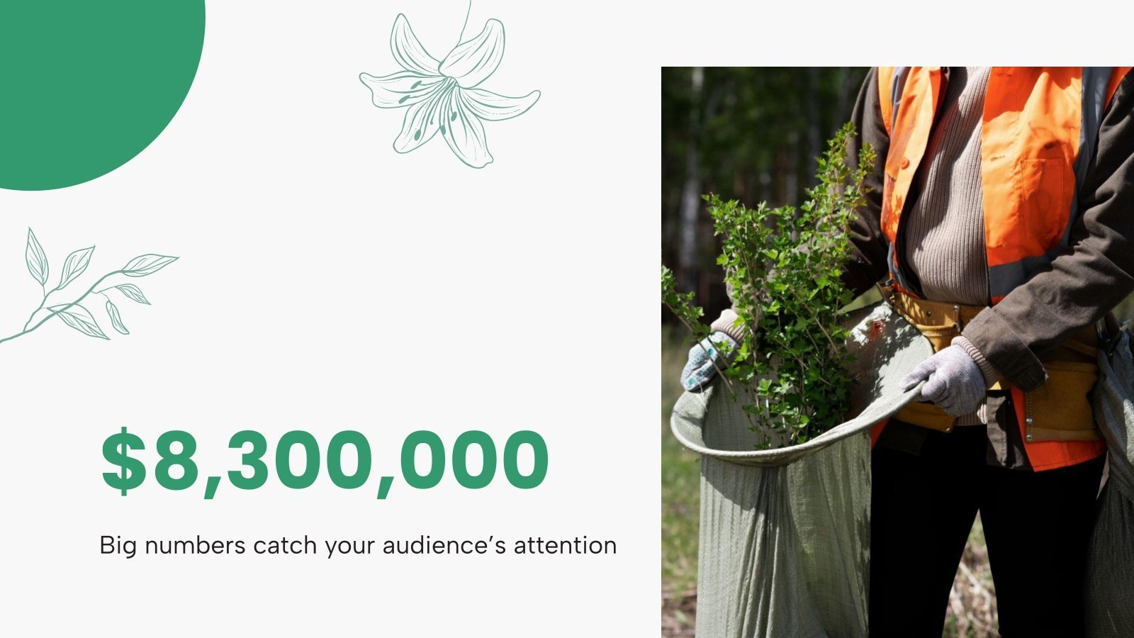 Forestry Basics Workshop Presentation