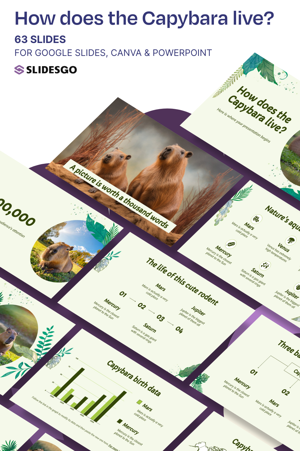 How does the Capybara live? Presentation