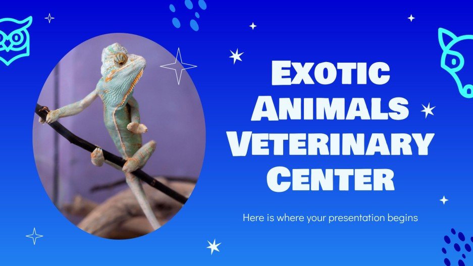 Free Zoo-themed Google Slides & PowerPoint templates