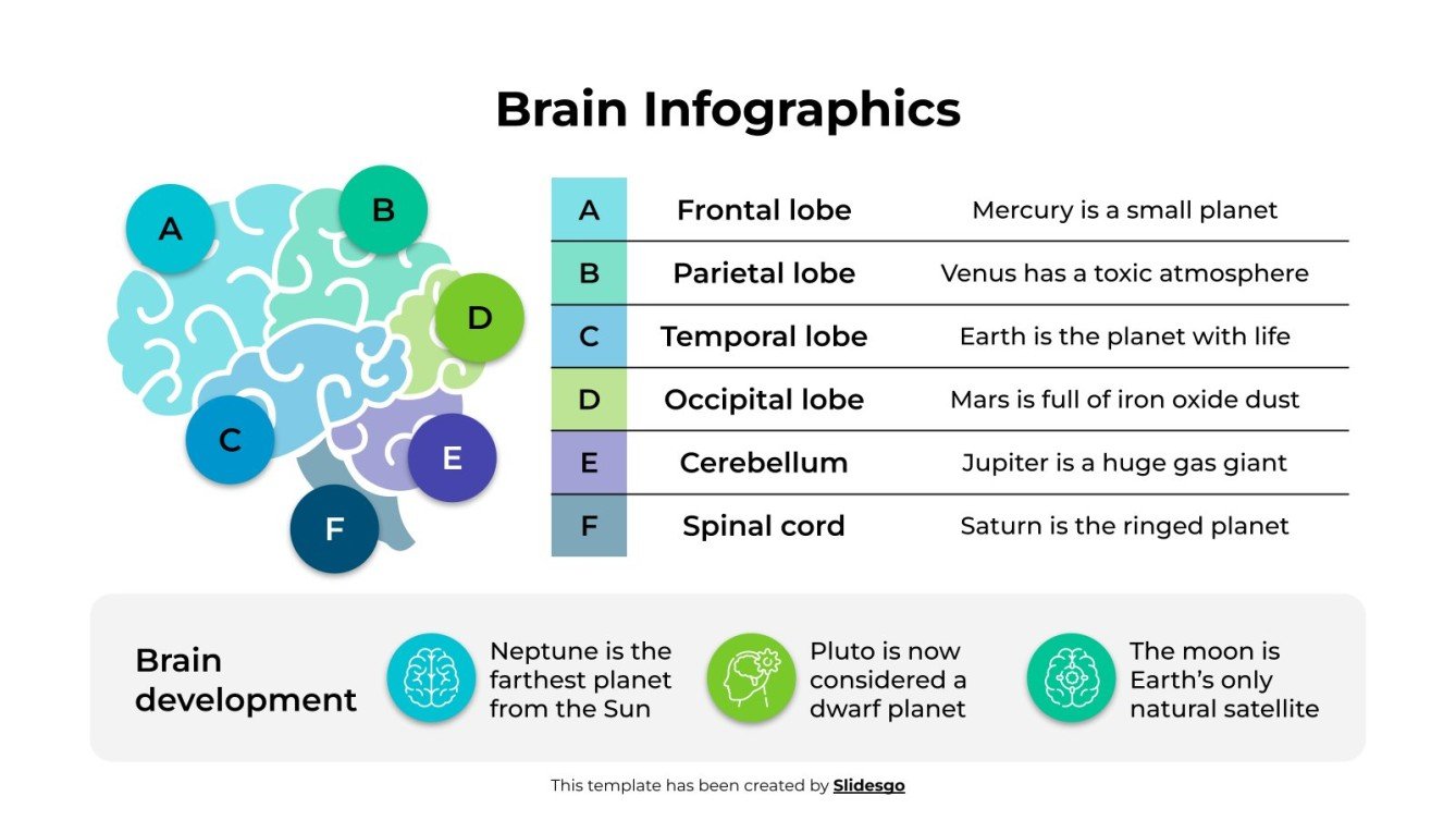 Brain Infographics Template