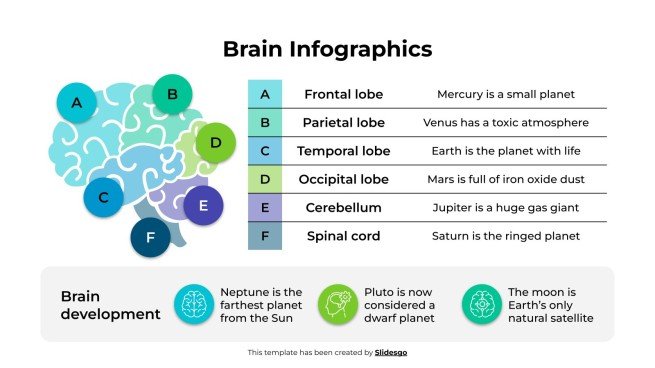 Brain Infographics Template