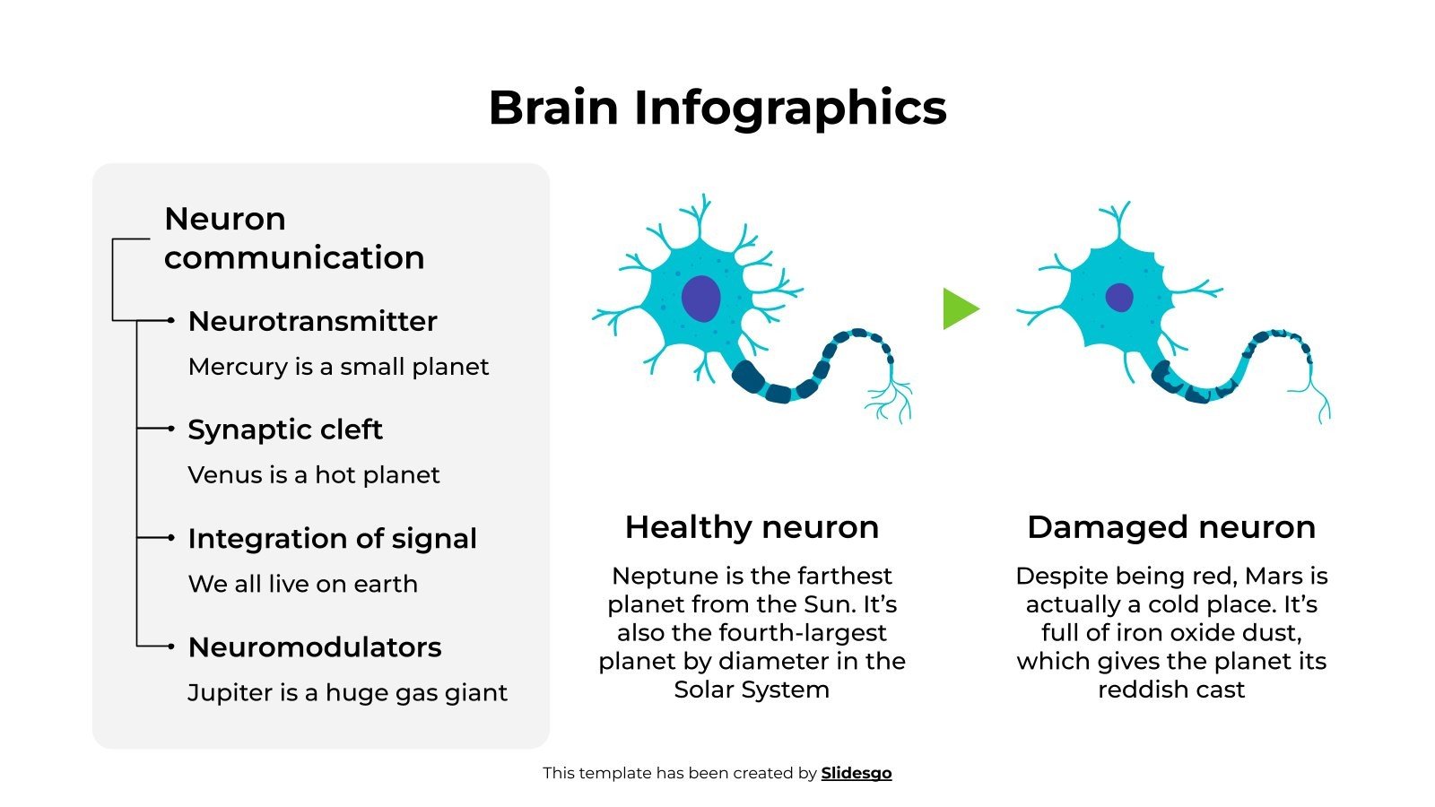 Brain Infographics Template